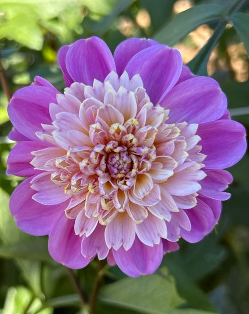 Take Off – Valley Ridge Farm